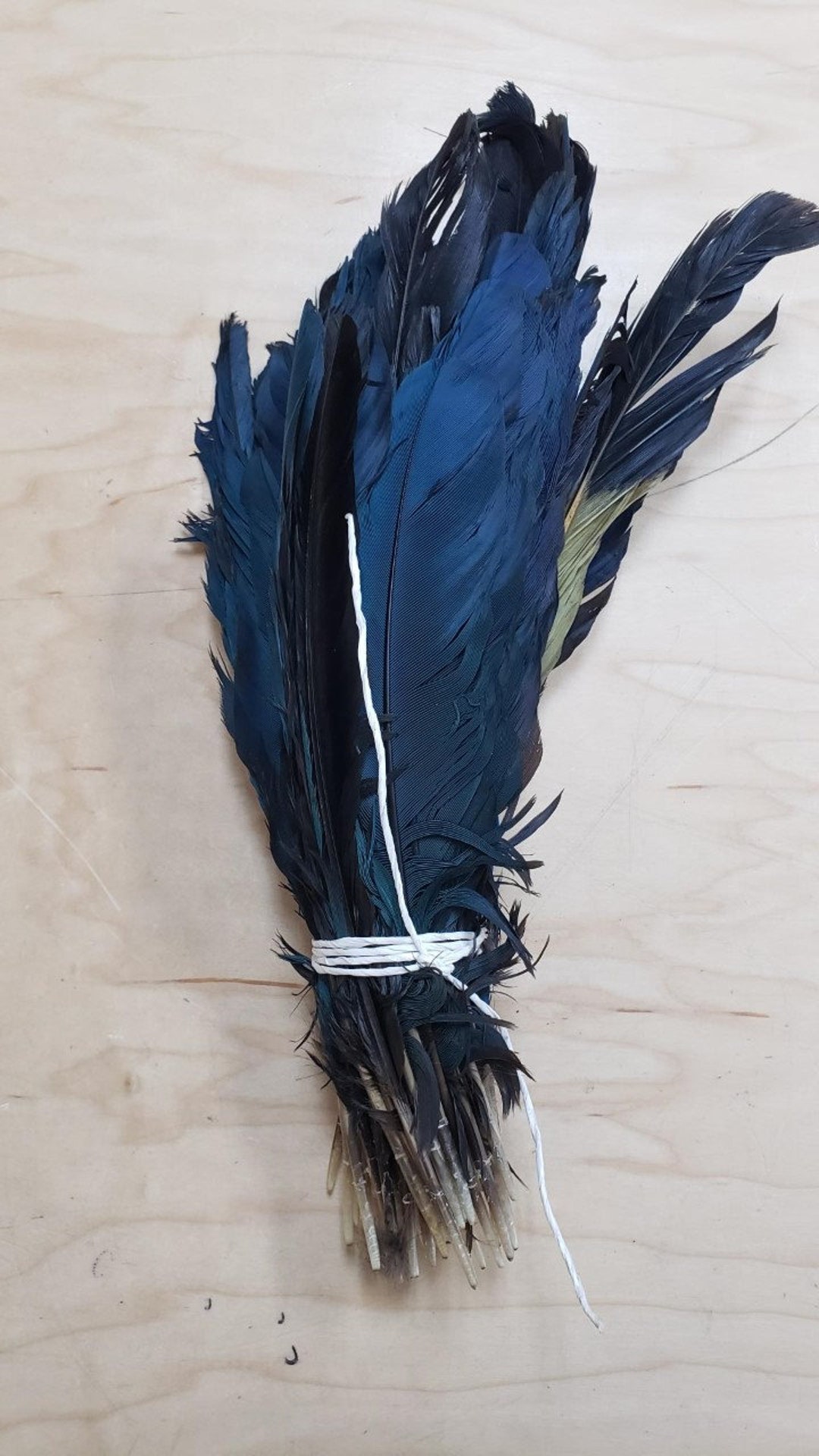 Agbe Feder Bird From Nigeria - Etsy