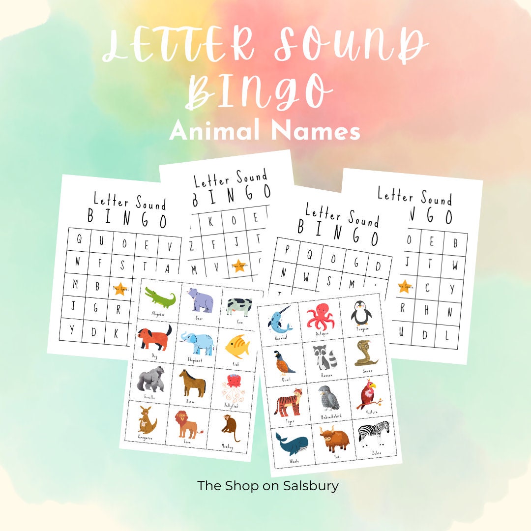 Alphabet Letter Sound Bingo / Early Literacy Phonics Skills Game ...