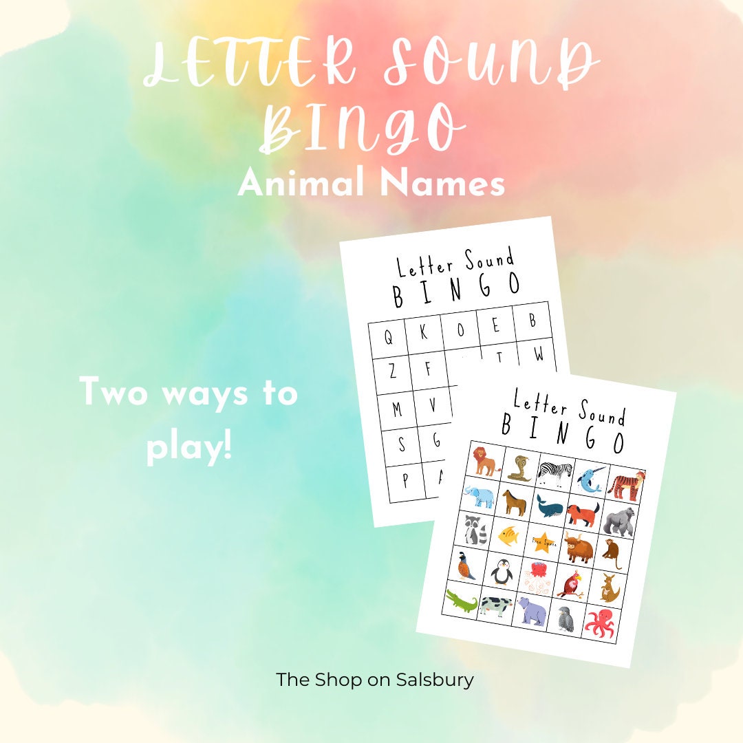 Alphabet Letter Sound Bingo / Early Literacy Phonics Skills Game ...