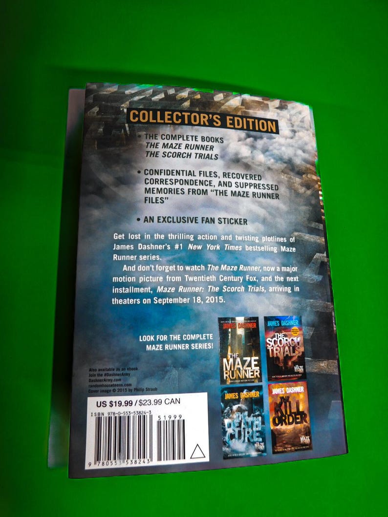 The Maze Runner - Etsy