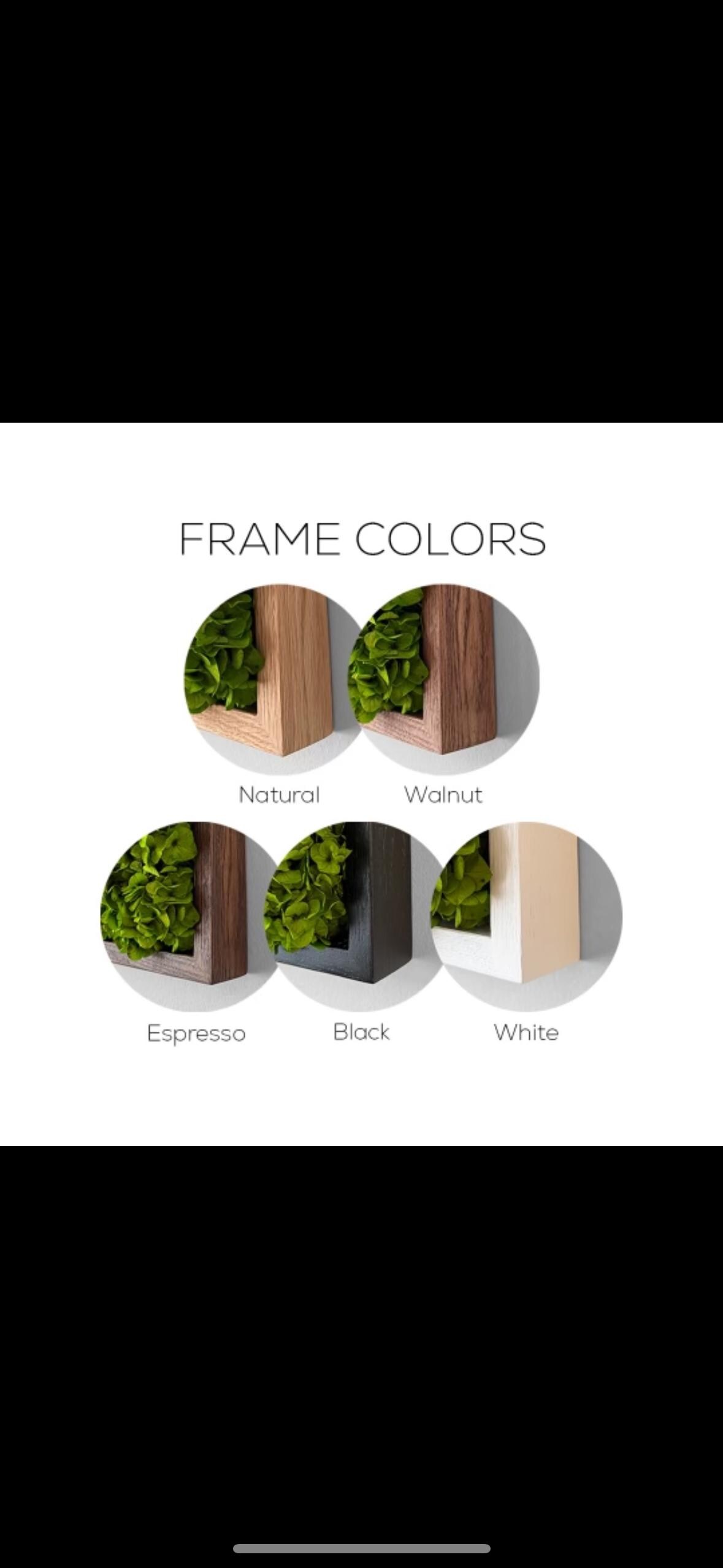 Handcrafted Moss Wall Art With Oak Frame | Mixed Moss & Amaranthus ...