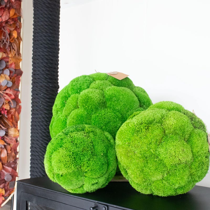 Moss Balls - Etsy