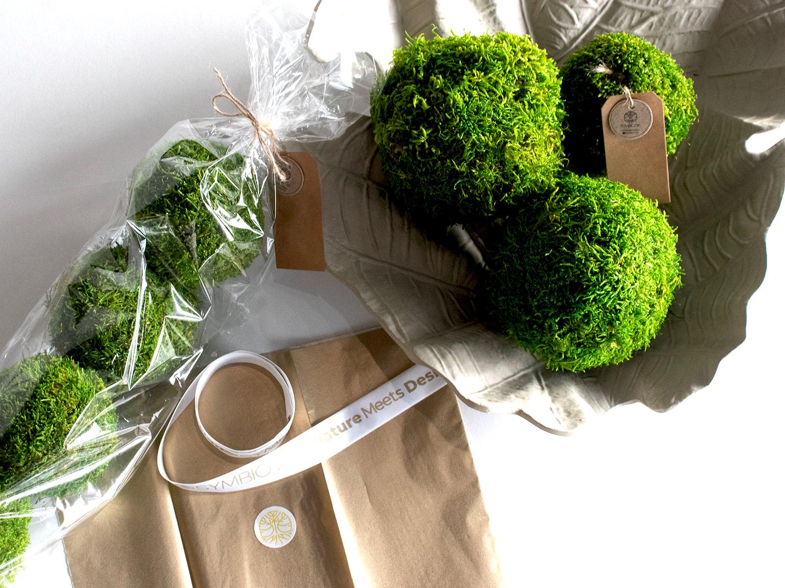 Preserved Fern Moss Balls: Vase Filler, Centerpiece Orbs - Etsy