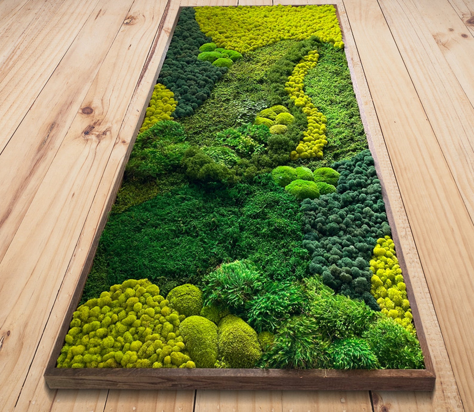 Mos Kunst aan de Muur. Grote mosmuur. Verklaring art. Groene - Etsy België