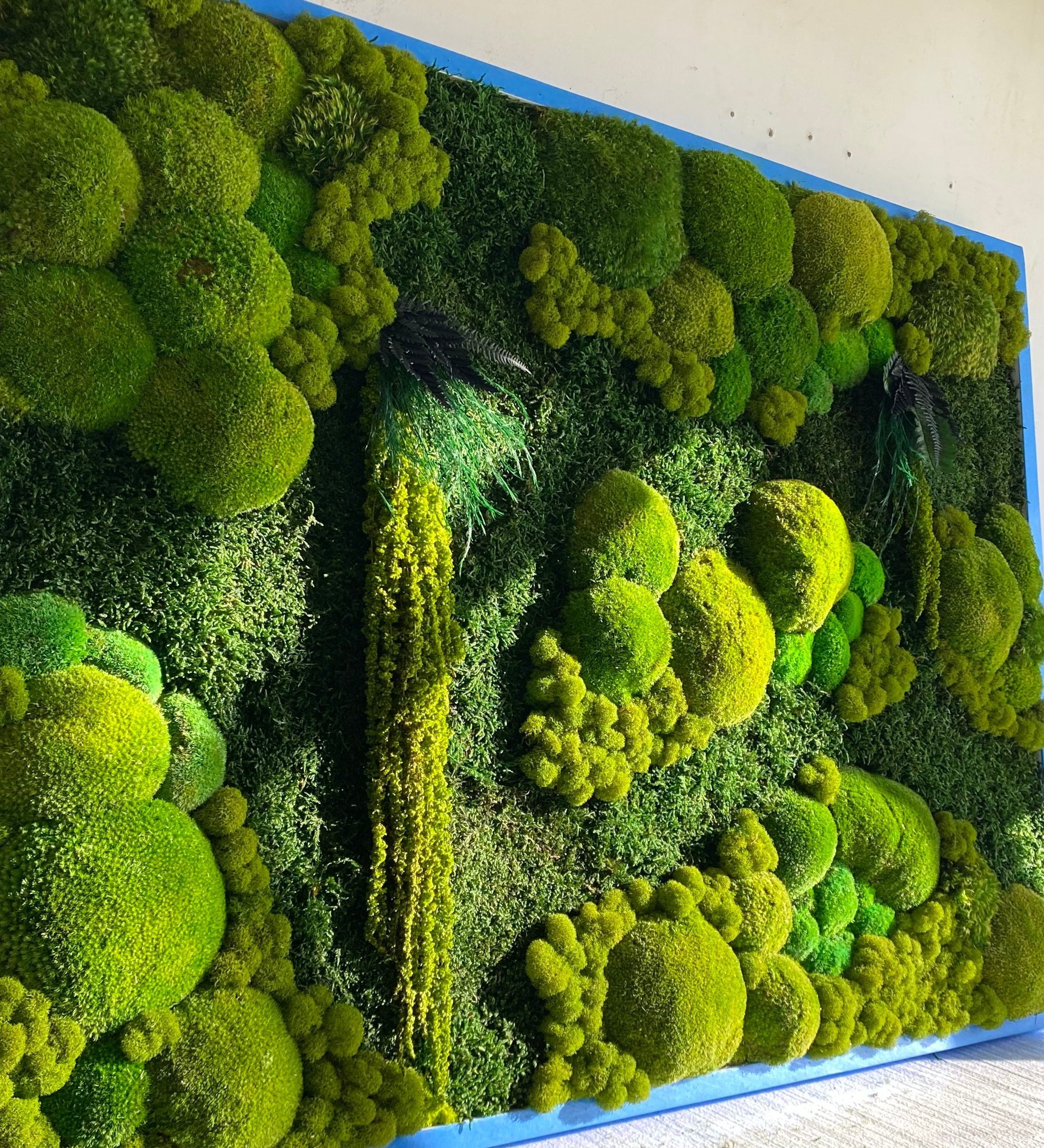 Moss Wall Art Preserved Moss Art Moss Frame Planted Wall - Etsy