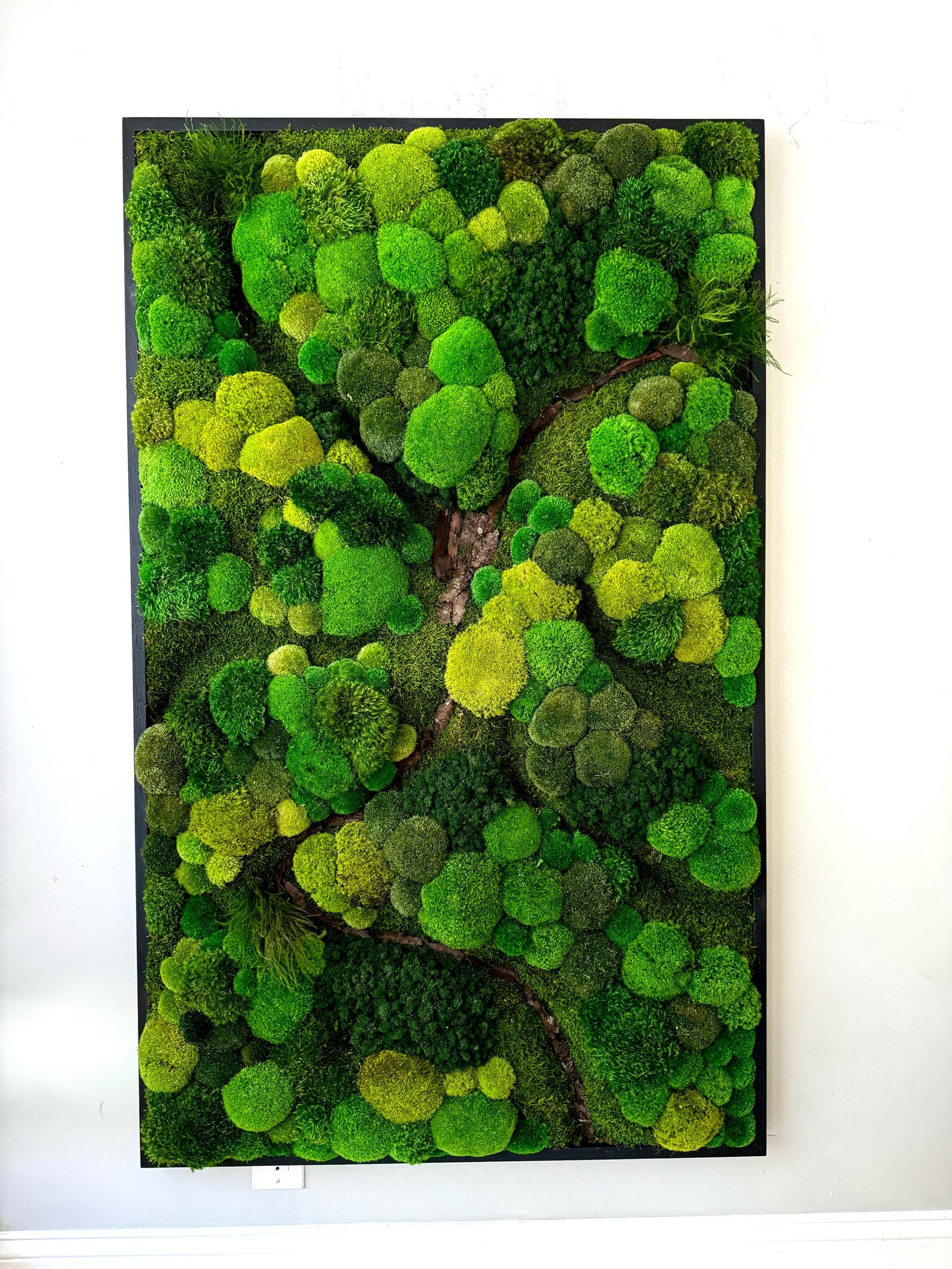Preserved Moss Wall Art: Rolling Hills Design - Etsy