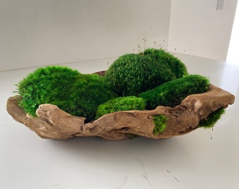 Multicolour moss tea light holder Natural moss planter Easter table ...
