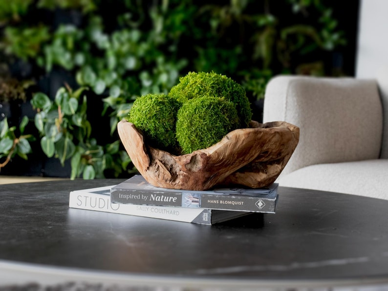 Preserved Fern Moss Balls: Vase Filler, Centerpiece Orbs - Etsy
