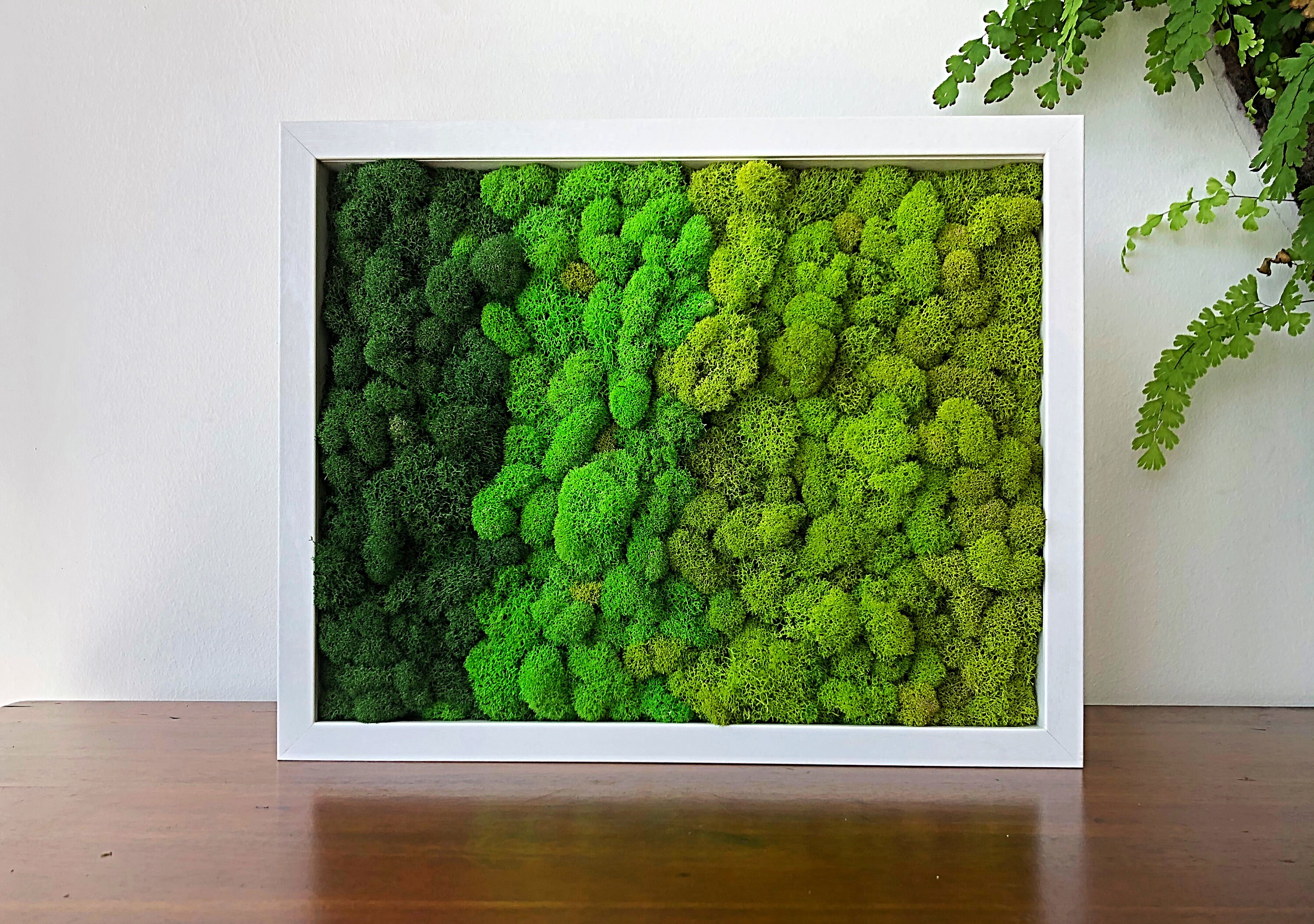 Moss Wall Art Photo Frame at Darcy Poninski blog