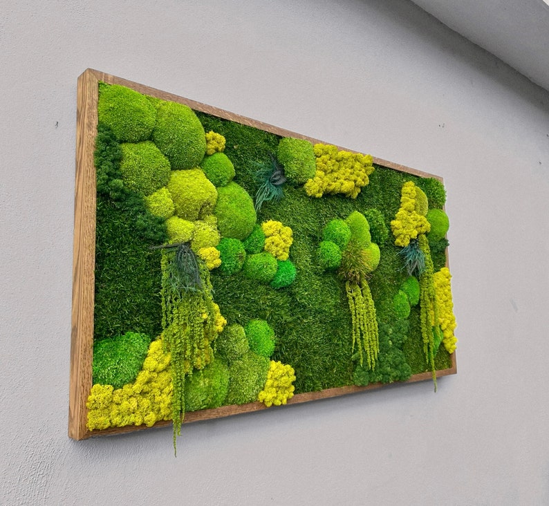 Moss Wall Art Preserved Moss Art Moss Frame Planted Wall - Etsy