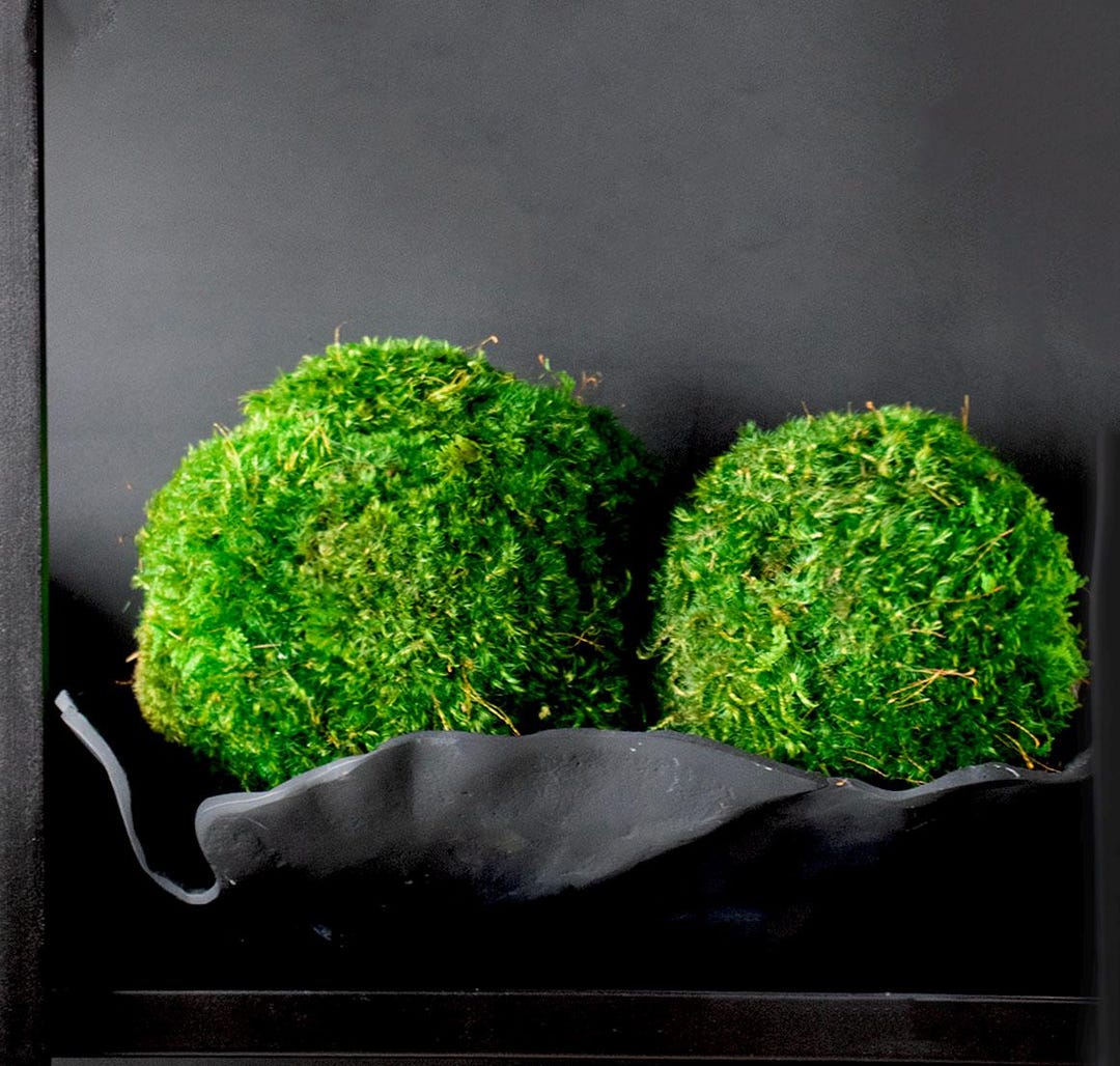 Mood Moss Balls, Decorative Sphere, Preserved Moss Balls, Moss ...