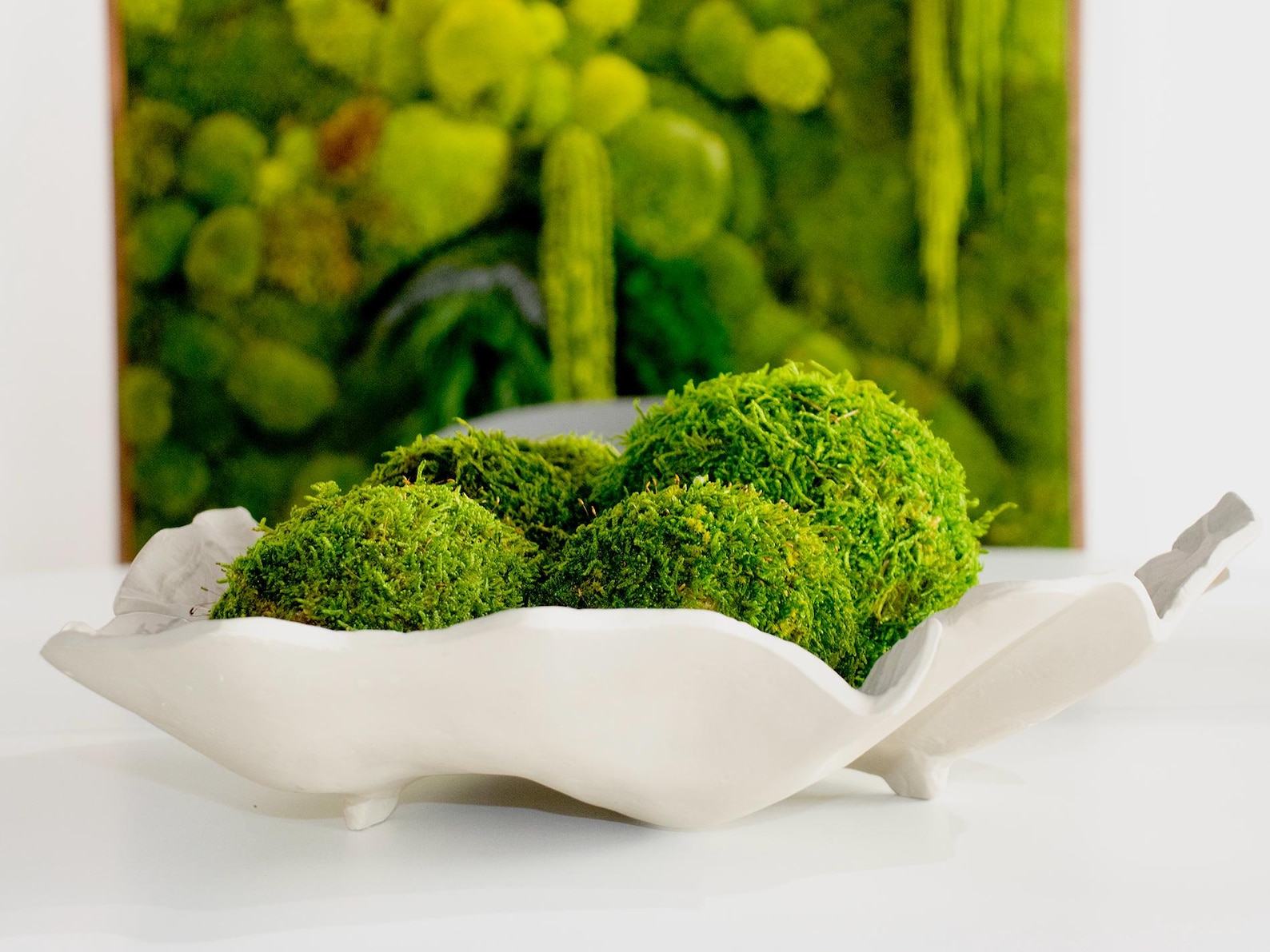 Preserved Fern Moss Balls: Vase Filler, Centerpiece Orbs - Etsy