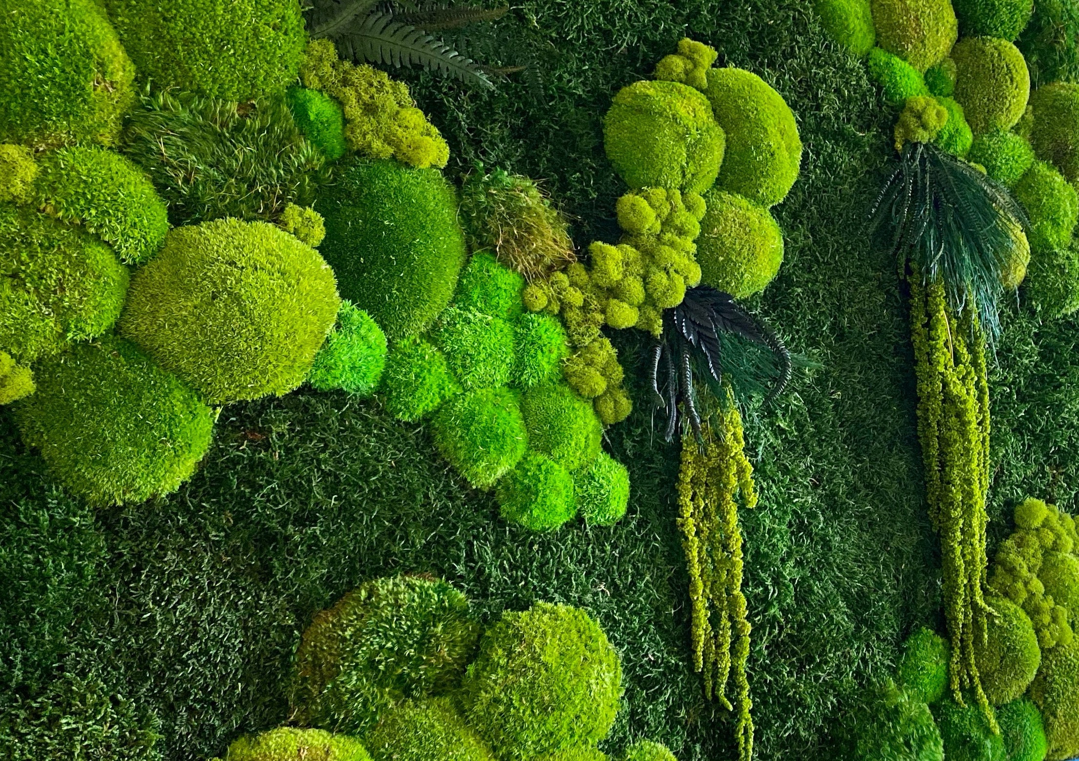 Moss Wall Art Preserved Moss Art Moss Frame Planted Wall - Etsy