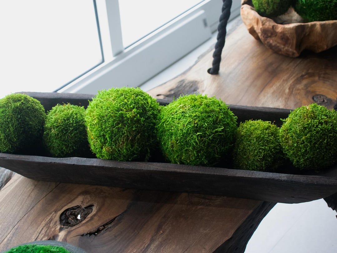 Preserved Fern Moss Balls: Vase Filler, Centerpiece Orbs - Etsy