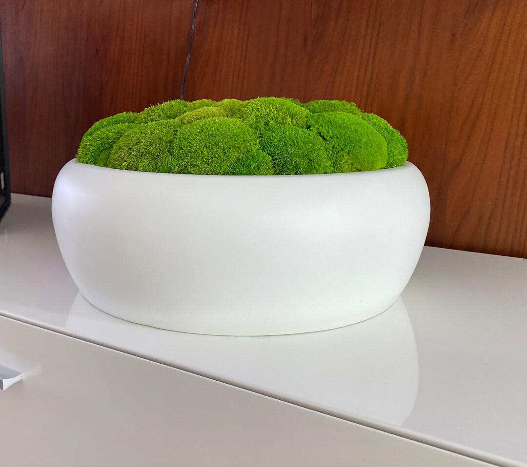 Large Moss Centerpiece - Moss Bowl Arrangement - Pillow Moss in Modern ...