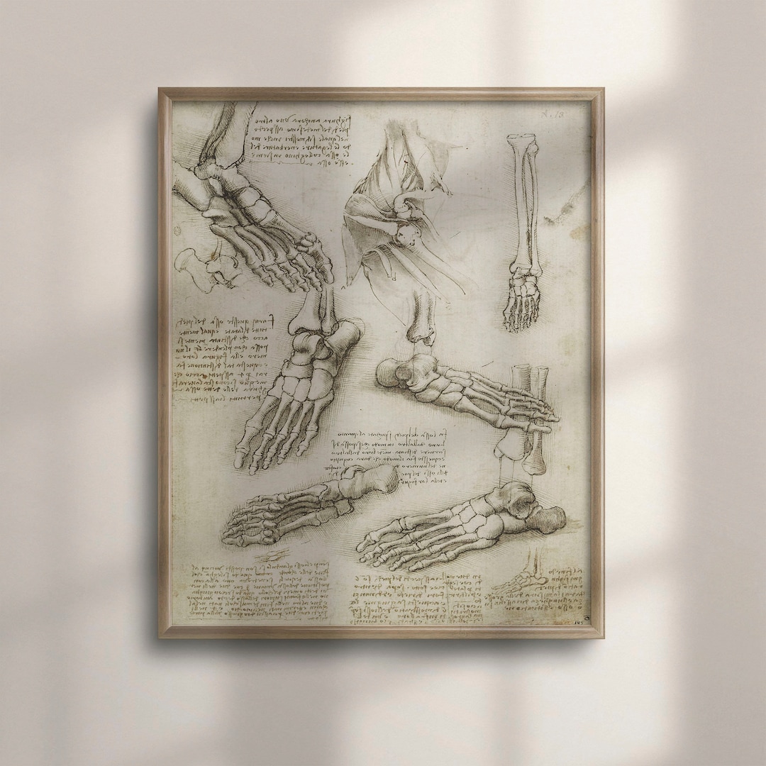 Da Vinci Anatomy Art Poster, Human Body Medical Decor, Vintage ...