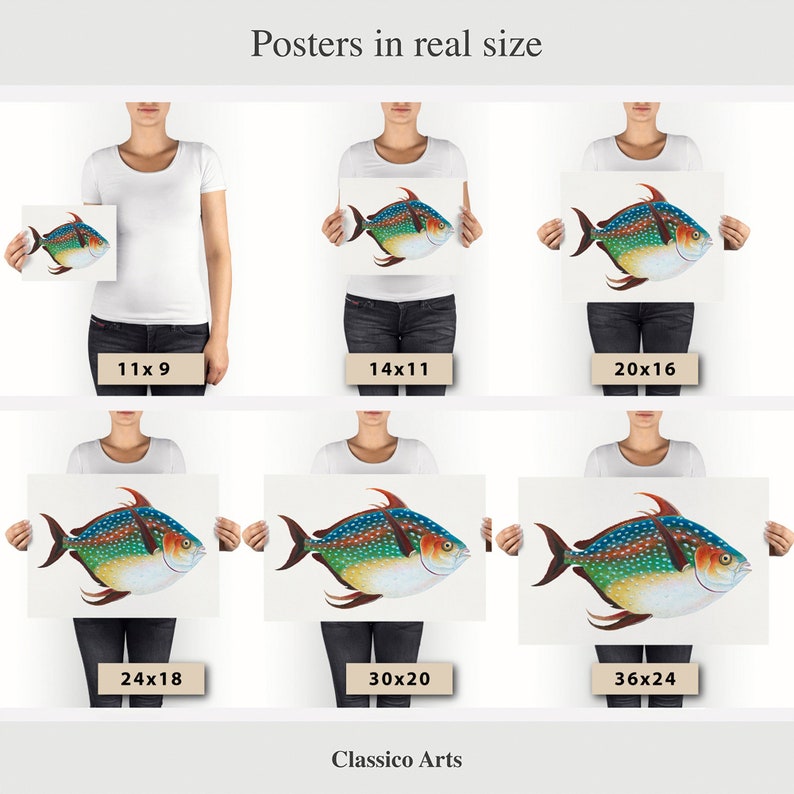 Opah Fish Print Vintage Fishing Poster Wall Art Decor Gift - Etsy