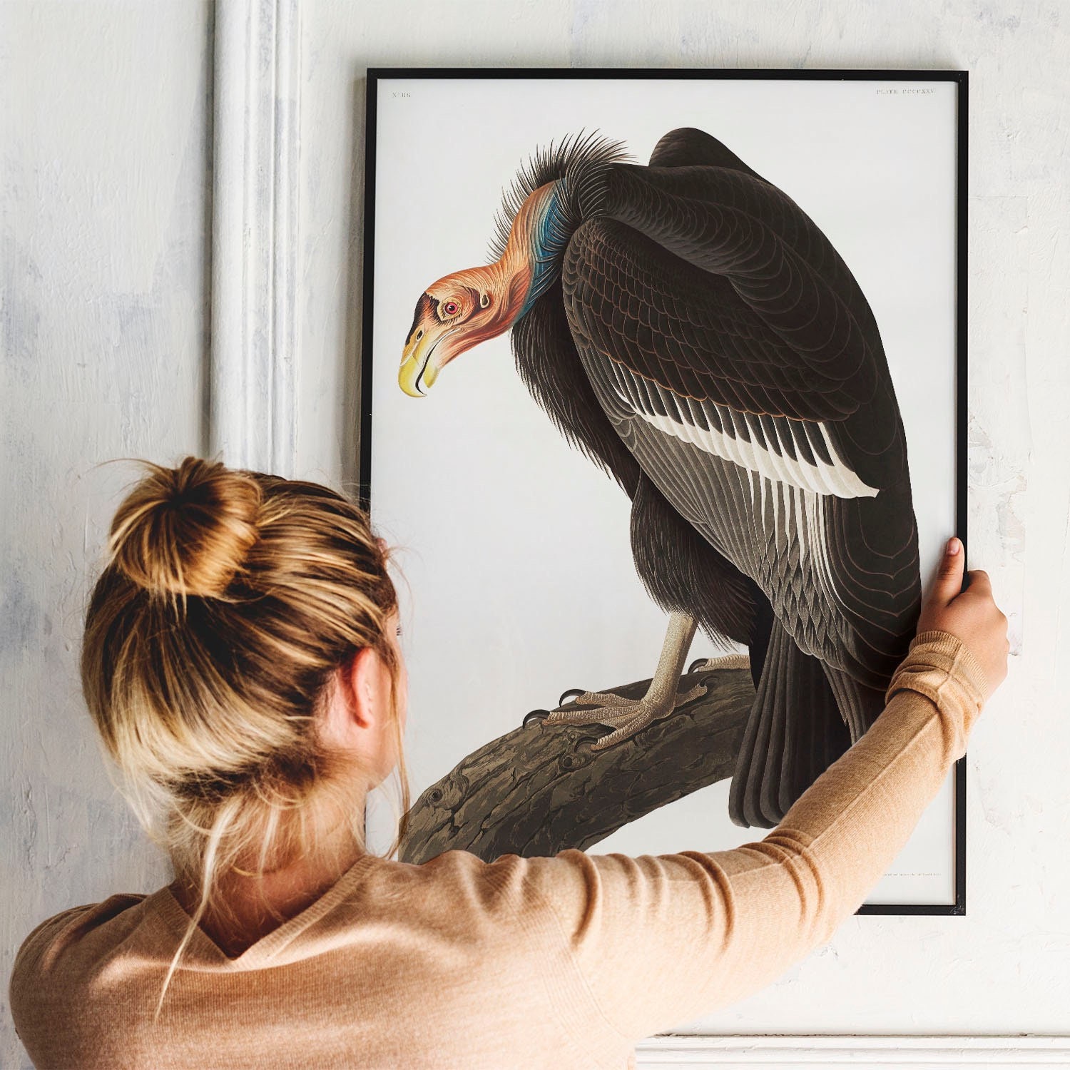 Vulture Print Antique Bird Painting Vintage Drawing Poster - Etsy España