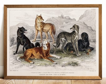 Two Wolves Art Print Franz Marc Modern Wolf Art Cubist - Etsy