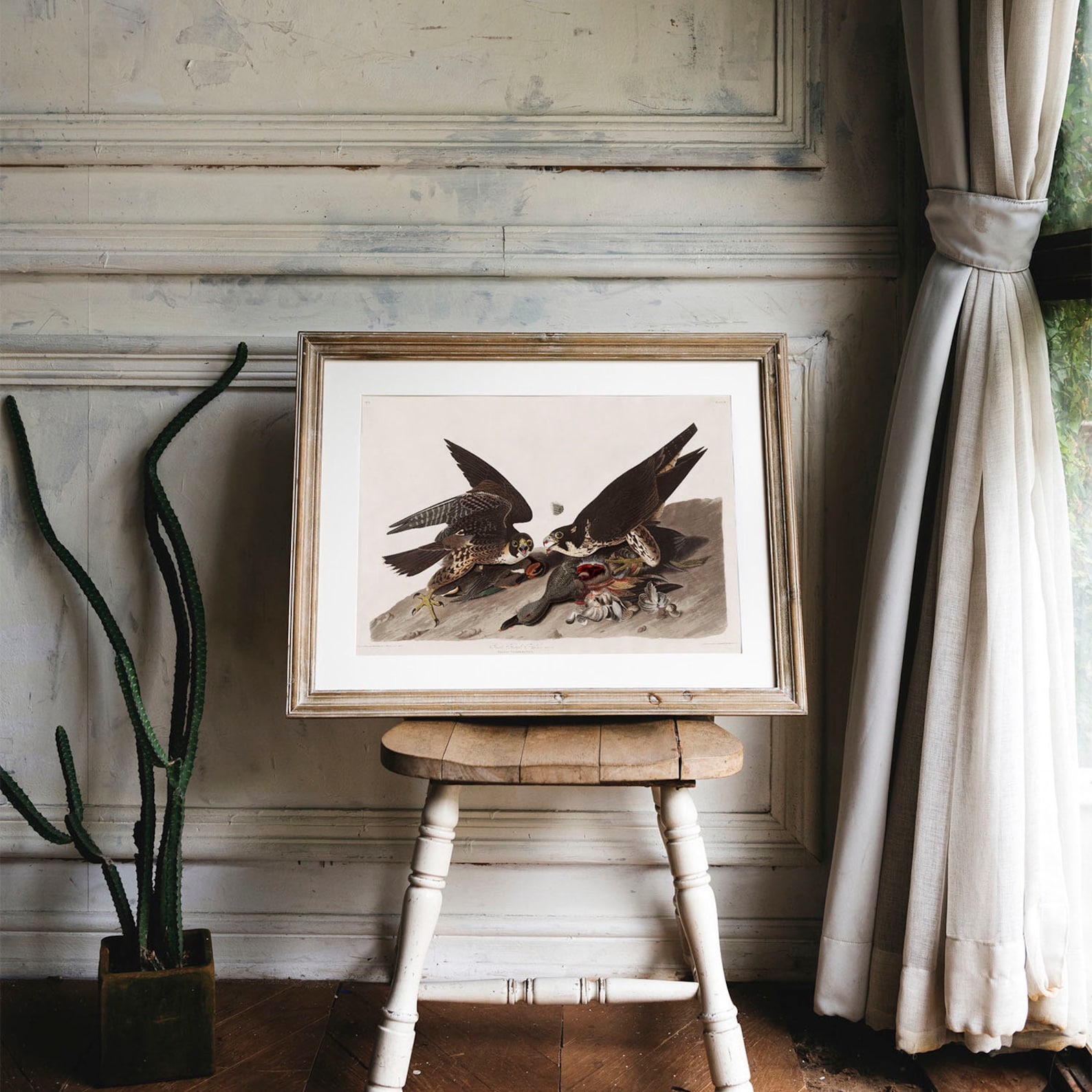 Great Hawk Print Antique Bird Painting Vintage Drawing - Etsy