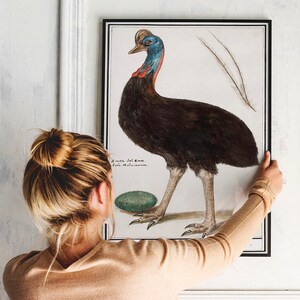 Cassowary Print, Antique Space Painting, Vintage Drawing Poster Wall ...