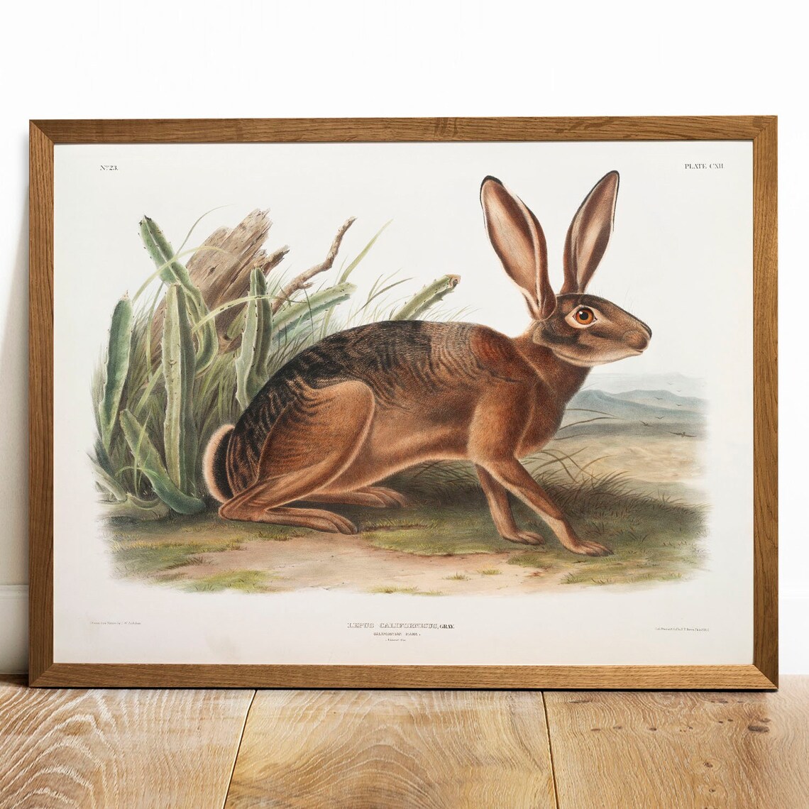 Hare Print Antique Animal Painting Vintage Drawing Poster - Etsy