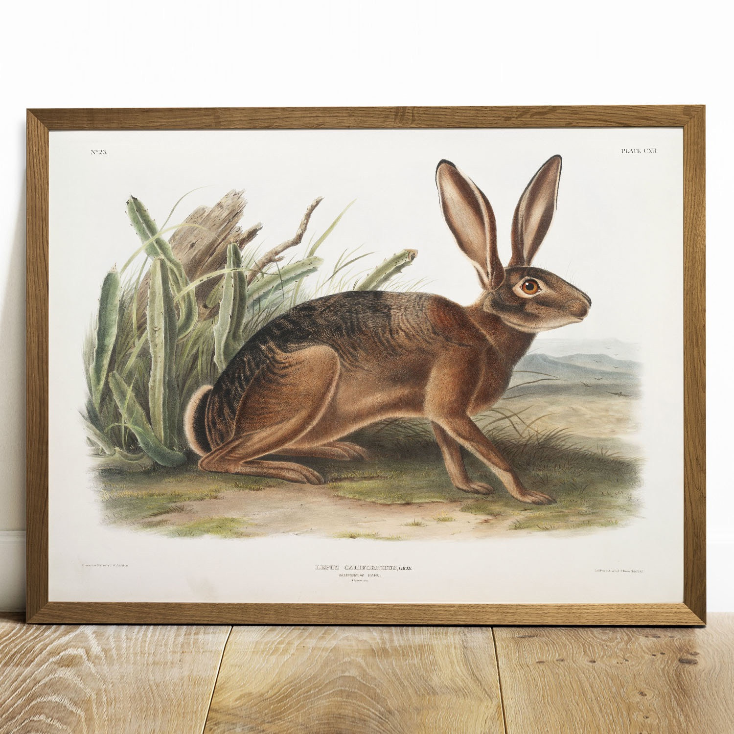 Hare Print Antique Animal Painting Vintage Drawing Poster - Etsy