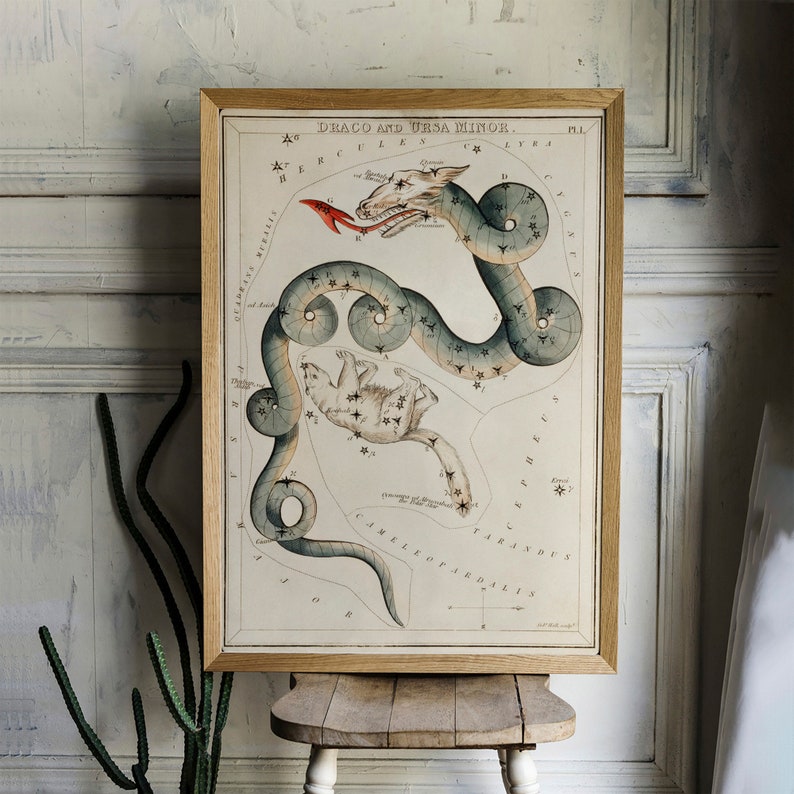 Draco Print Antique Space Painting Vintage Drawing Poster - Etsy