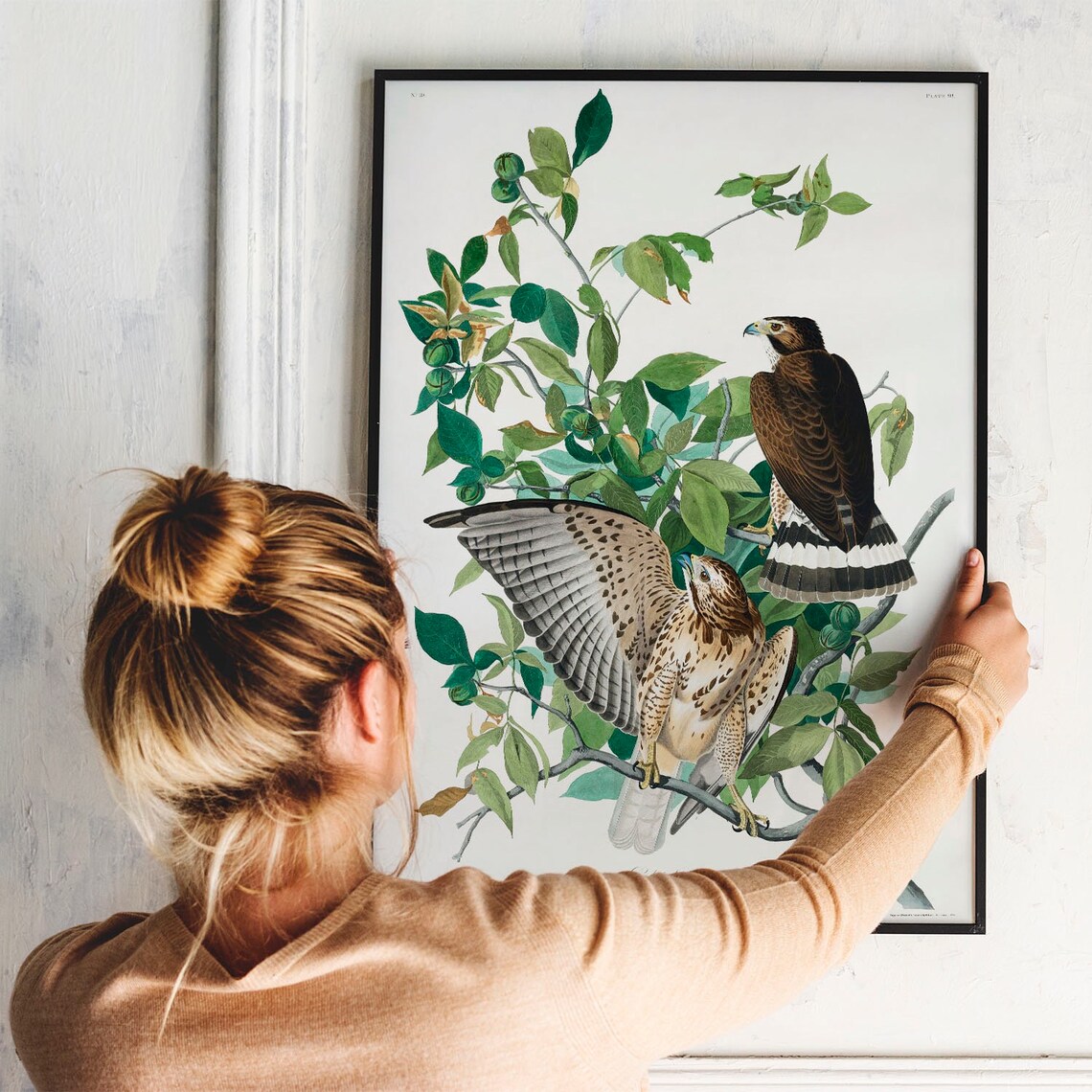 Hawk Print Antique Bird Painting Vintage Drawing Poster Wall | Etsy