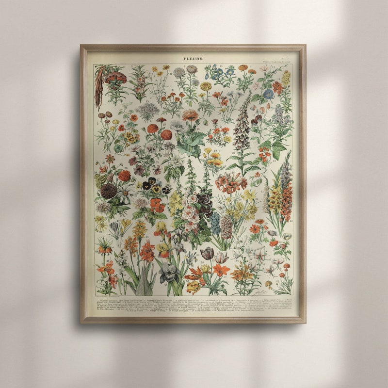 Flower Poster - Etsy Australia