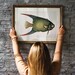 Angelfish Fish Print Vintage Fishing Poster Wall Art Decor - Etsy