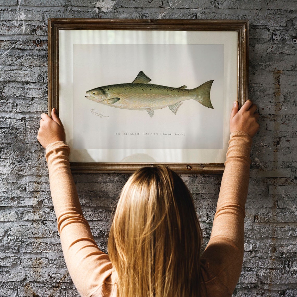 Atlantic Salmon Fish Print Vintage Fishing Poster Wall Art | Etsy