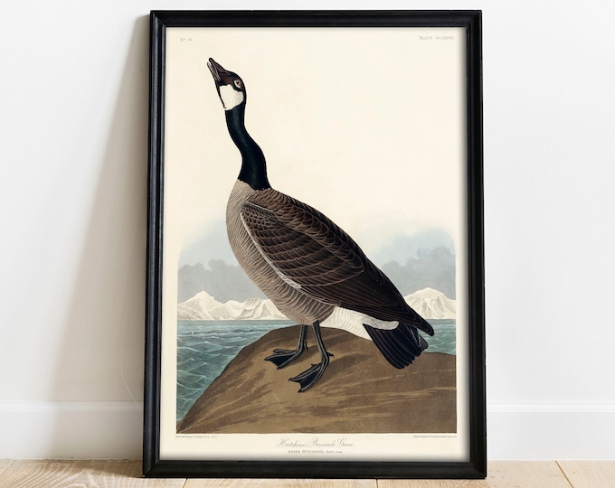 Goose Print Antique Bird Painting Vintage Drawing Poster - Etsy