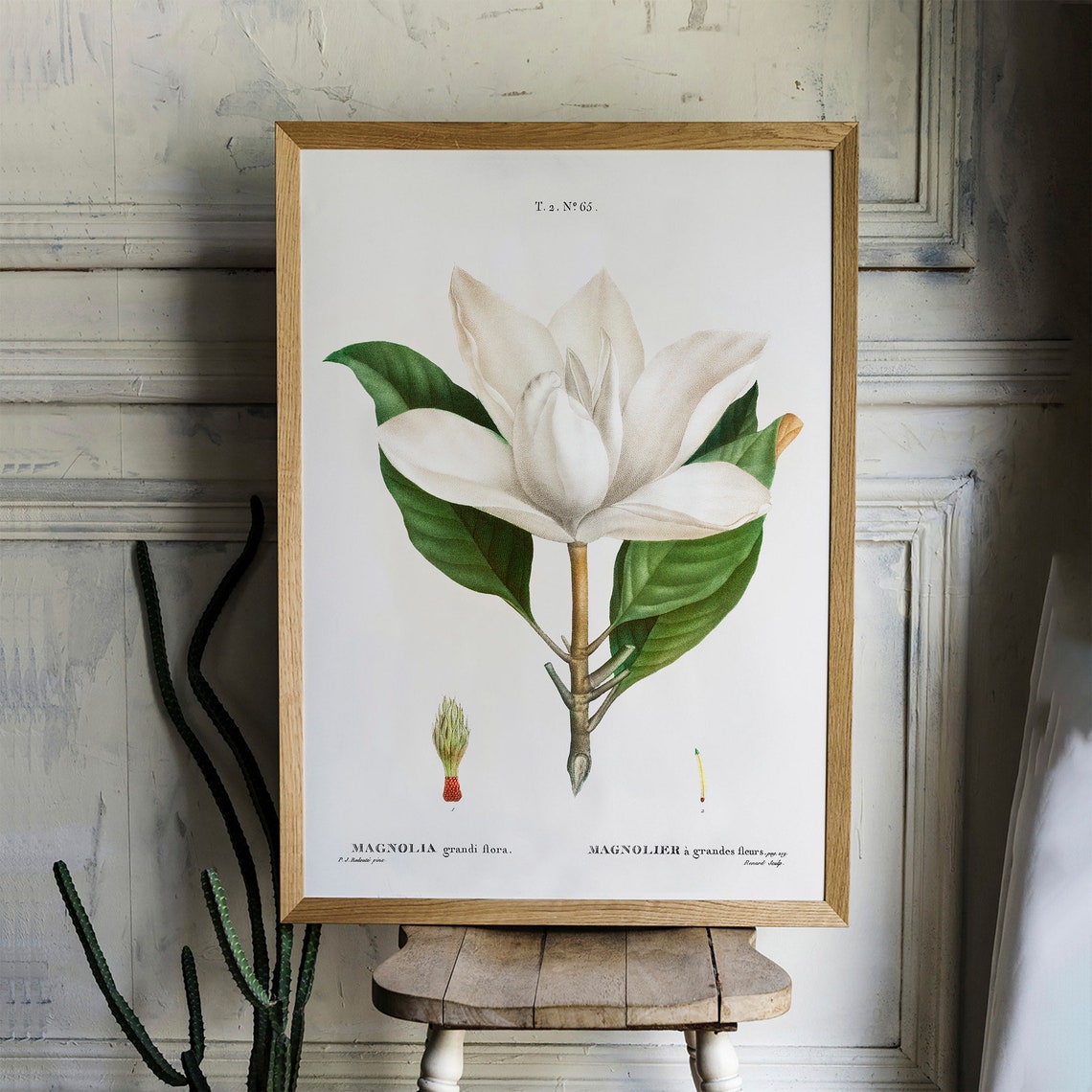 Magnolia Print Vintage Botanical Poster Wall Art Decor | Etsy