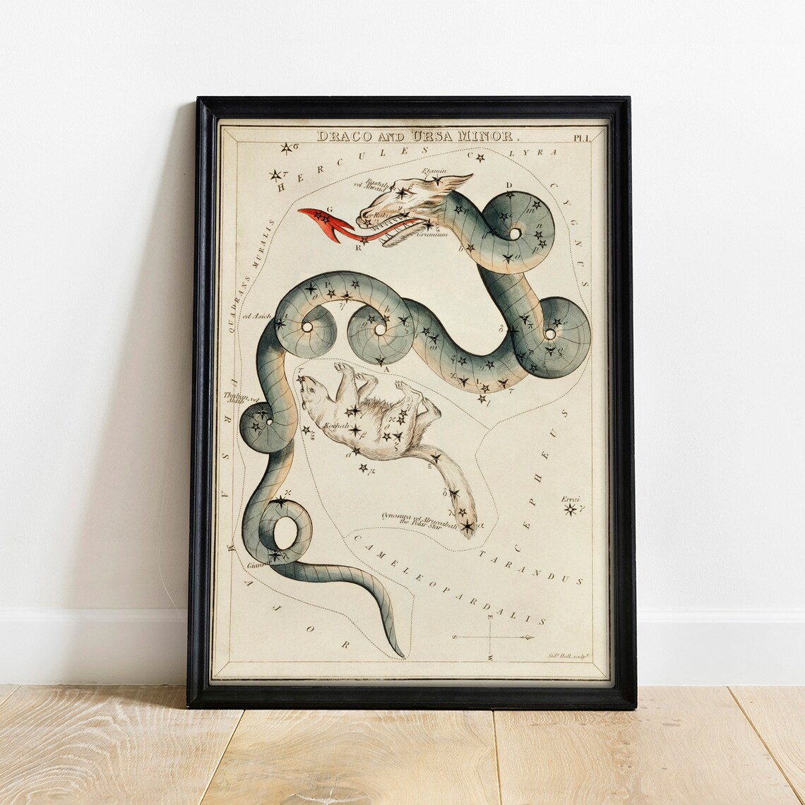 Draco Print Antique Space Painting Vintage Drawing Poster | Etsy