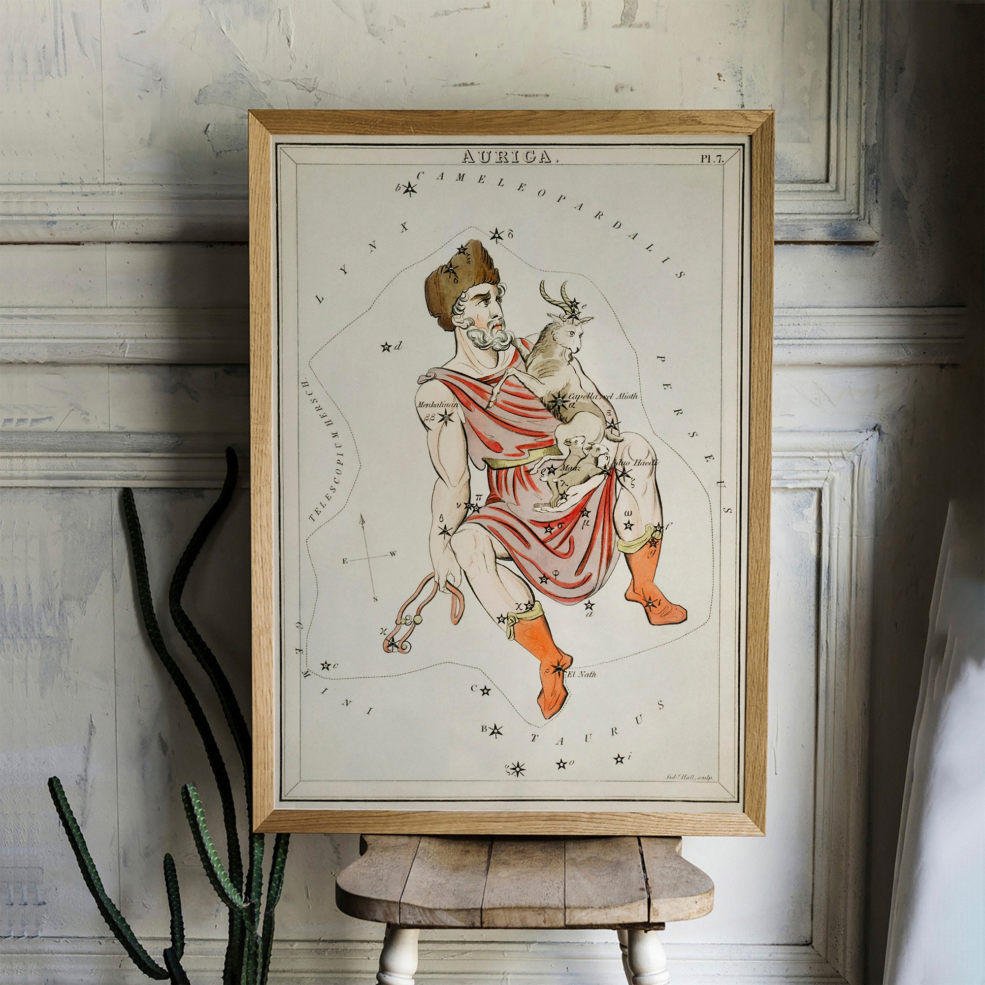Auriga Print Antique Space Painting Vintage Drawing Poster - Etsy