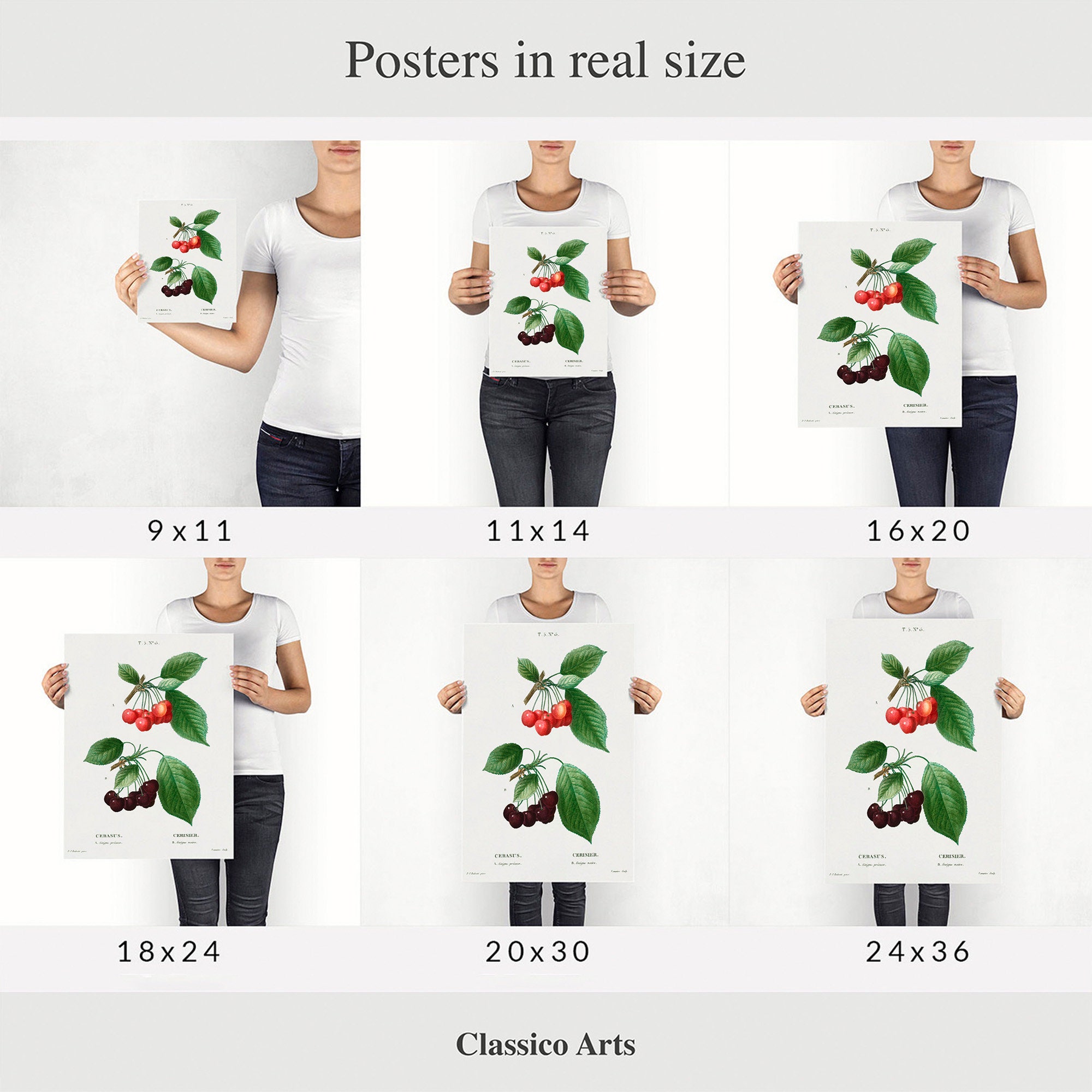 Cherry Print Vintage Botanical Poster Wall Art Decor Kitchen | Etsy