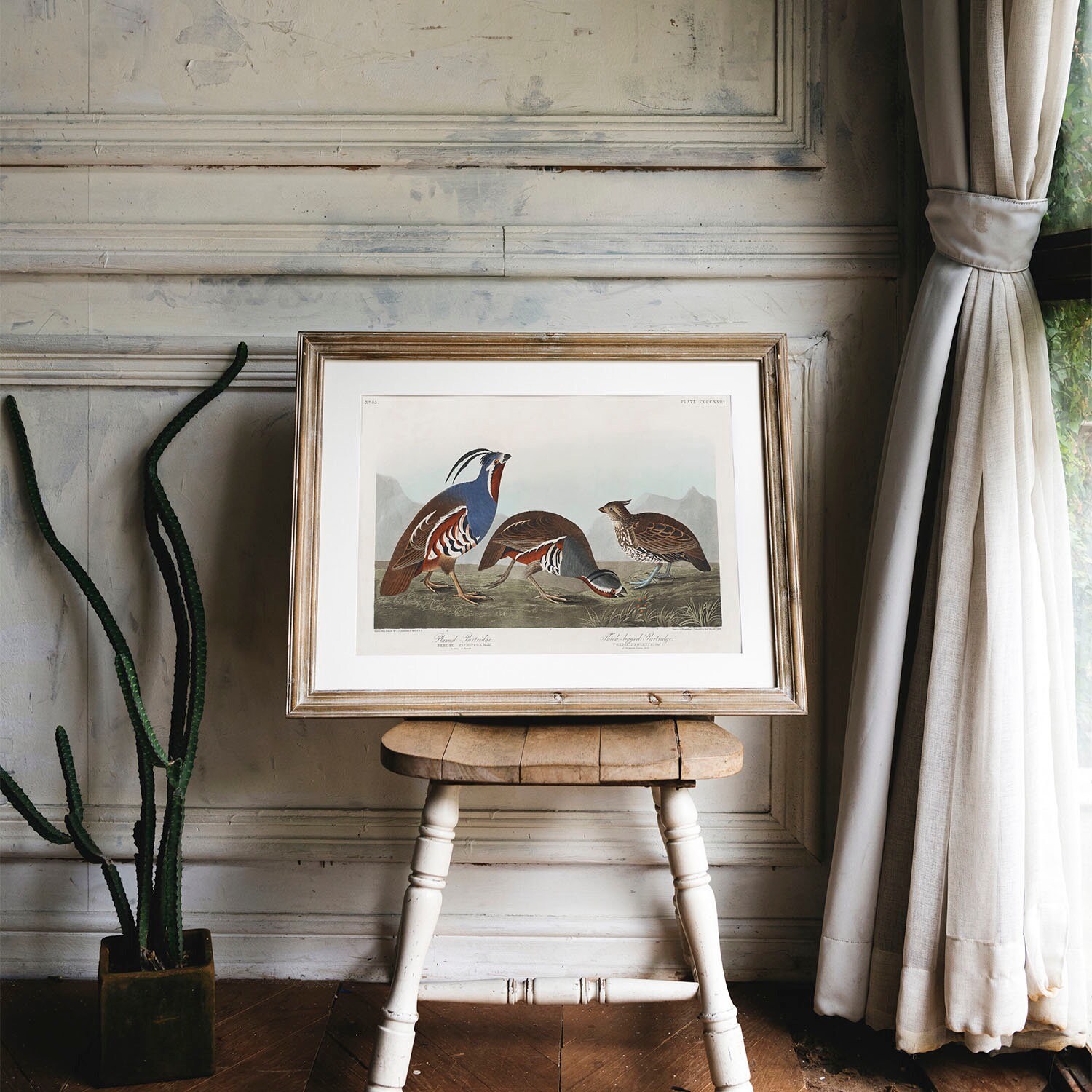 Partridge Print Antique Bird Painting Vintage Drawing Poster | Etsy