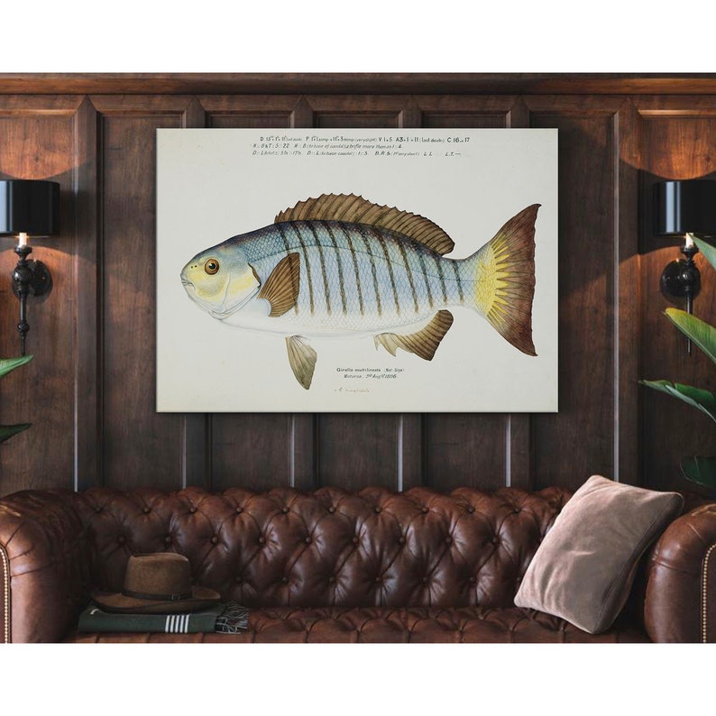 Blackfish Canvas Fish Print Vintage Fishing Poster Wall Art | Etsy