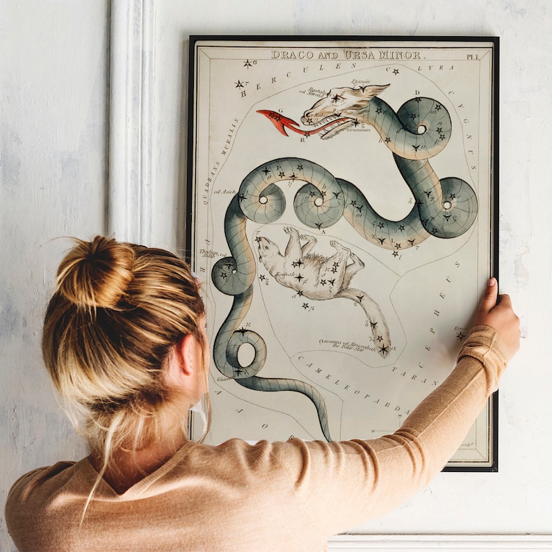 Draco Print Antique Space Painting Vintage Drawing Poster - Etsy