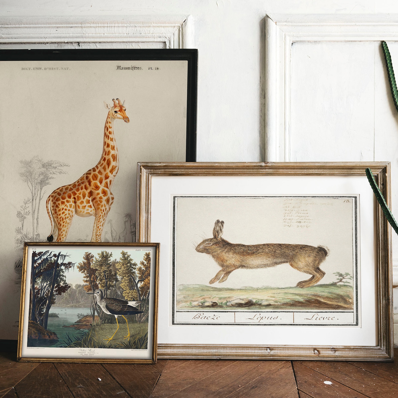 Hare Print Antique Space Painting Vintage Drawing Poster - Etsy