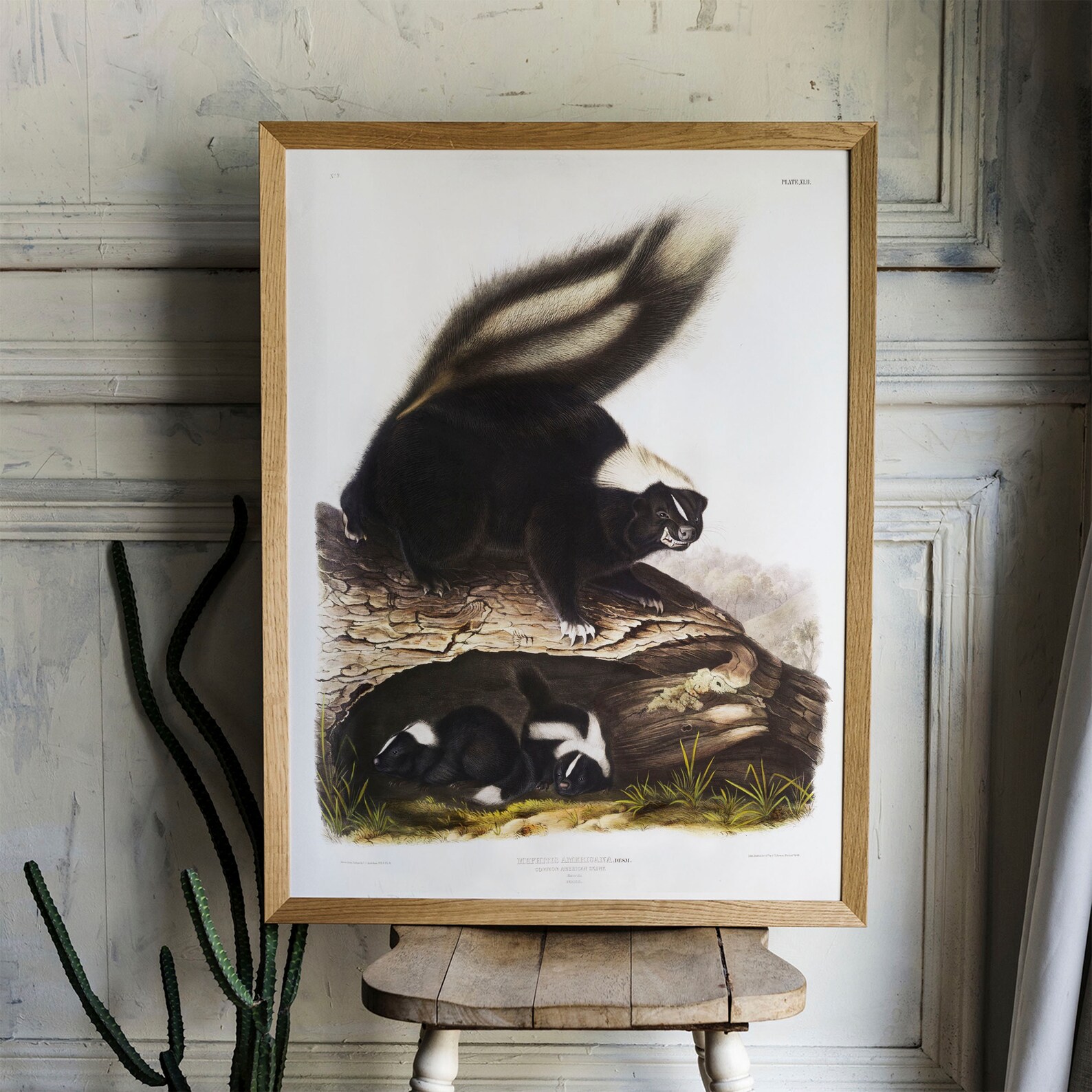 Skunk Print Antique Animal Painting Vintage Drawing Poster - Etsy