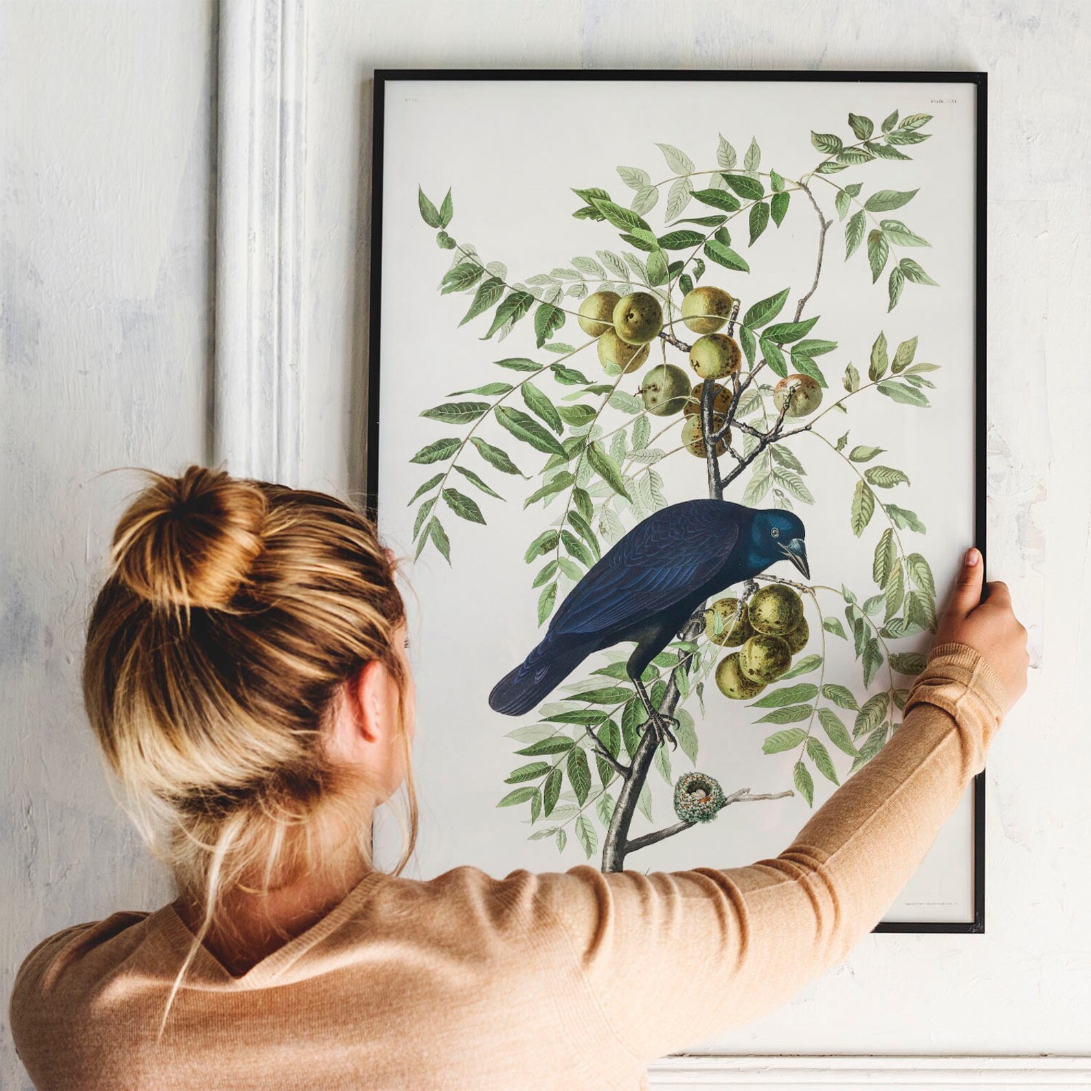 Audubon Crow Print: Vintage Bird Drawing, American Crow Wall Art - Etsy