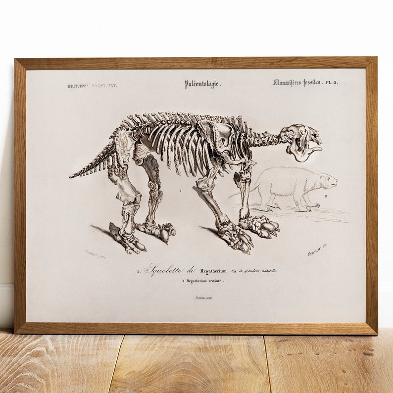 Megatherium Print Antique Animal Painting Vintage Drawing | Etsy