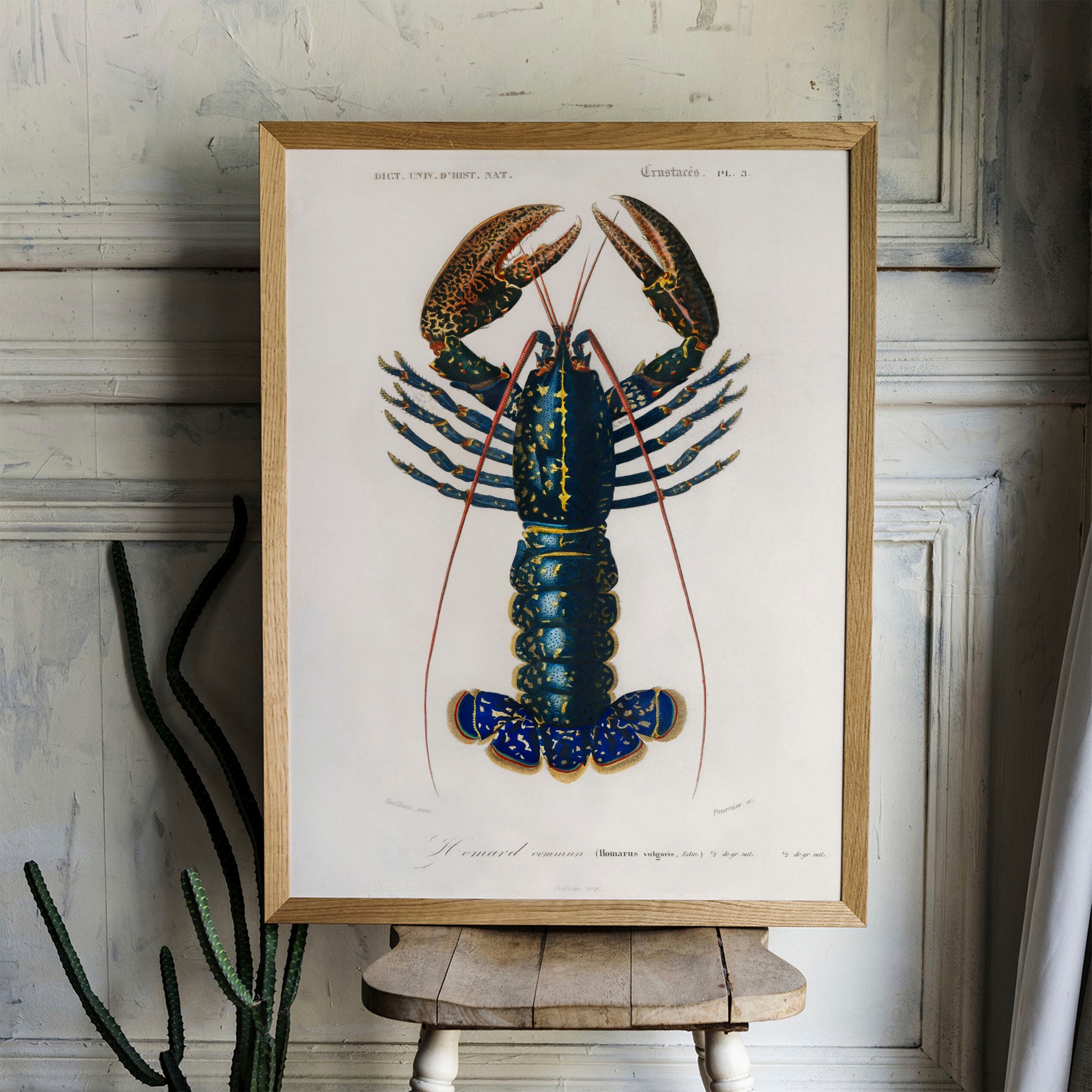 Crawfish Antique Print Illustration Vintage Fish Poster - Etsy