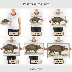Wild Boar Print, Antique Space Painting, Vintage Drawing Poster Wall ...