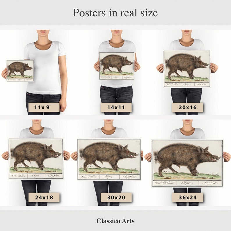 Wild Boar Print Antique Space Painting Vintage Drawing | Etsy