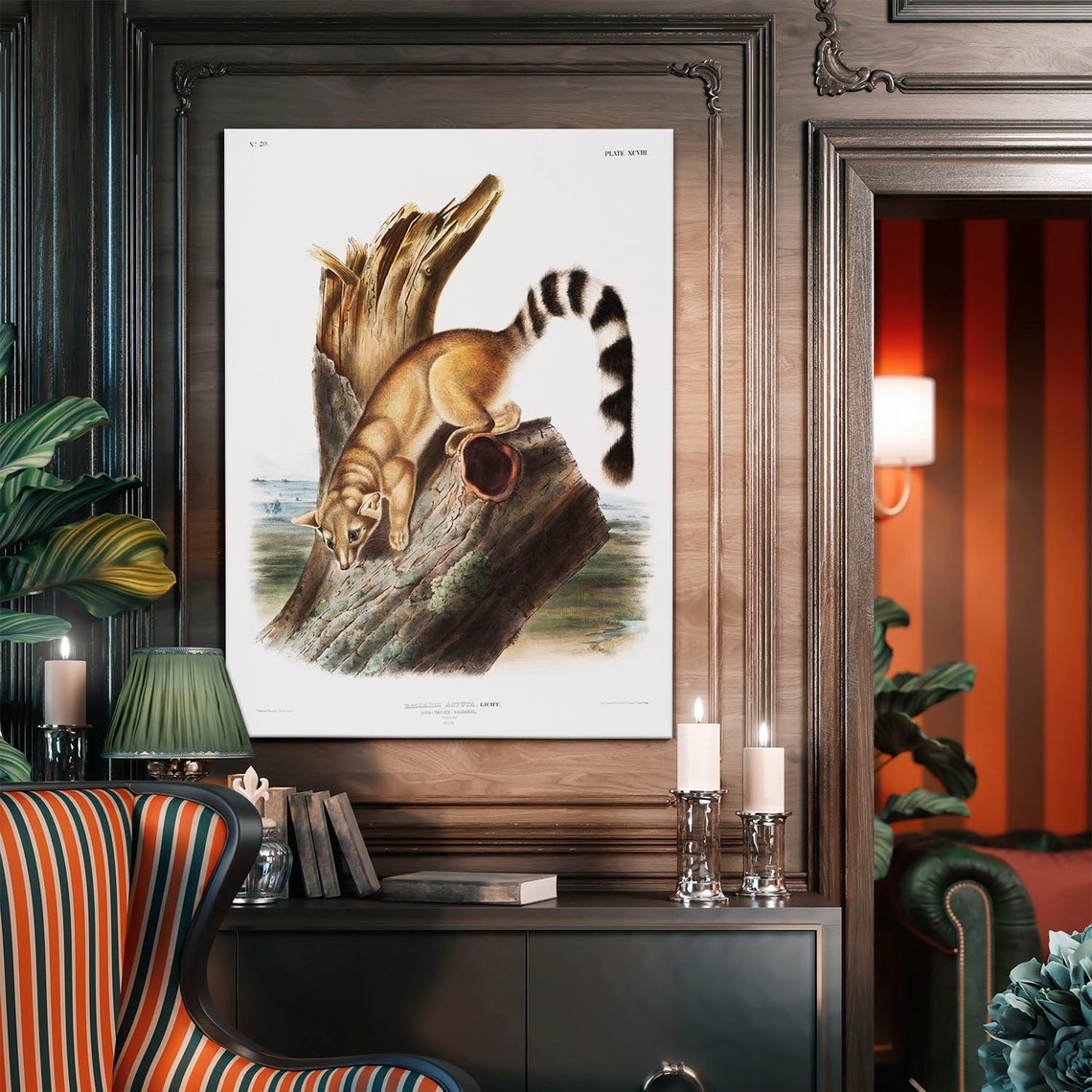 Ringtail Cat Canvas Print Antique Animal Painting Vintage | Etsy