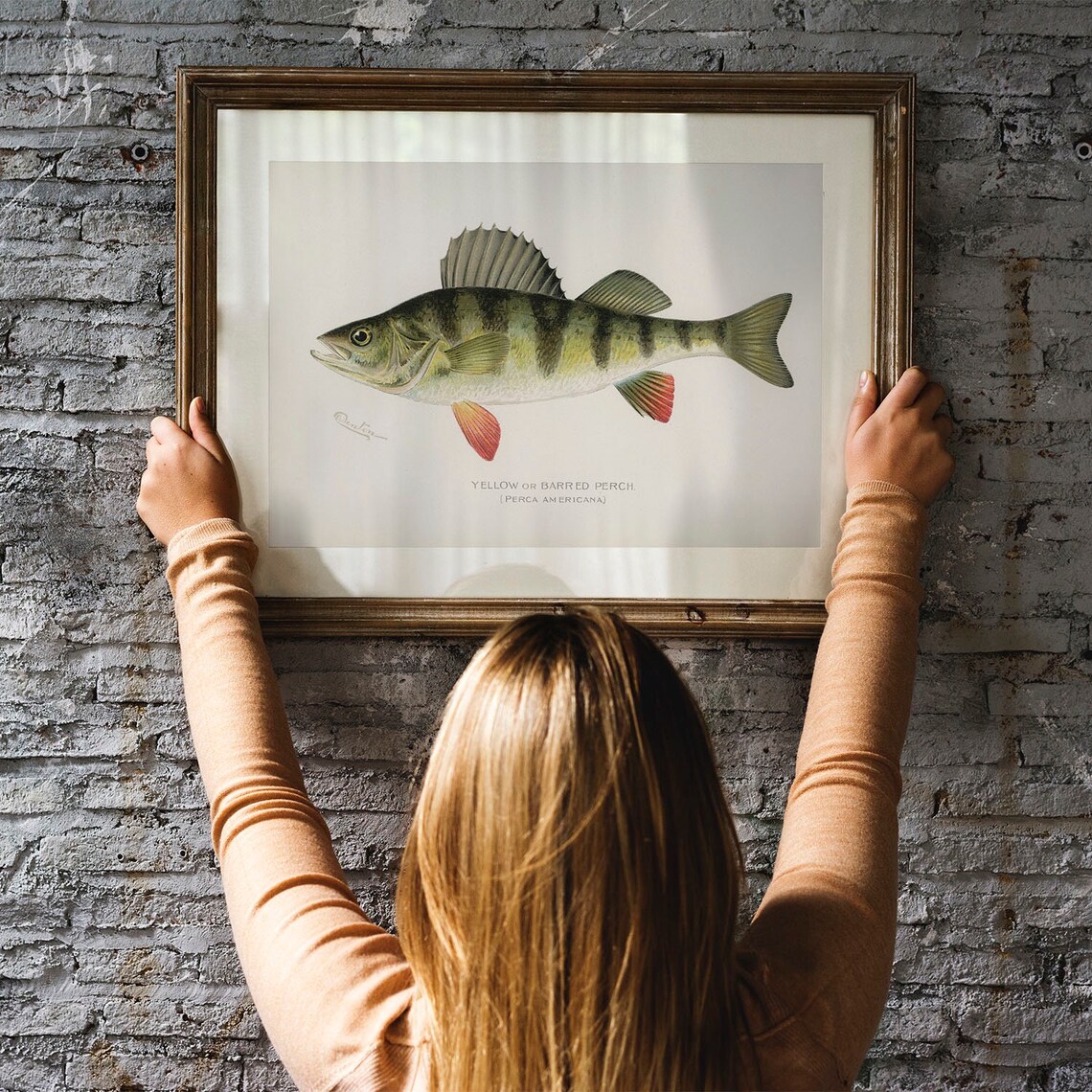 Yellow Fish Print Vintage Fishing Poster Wall Art Decor - Etsy