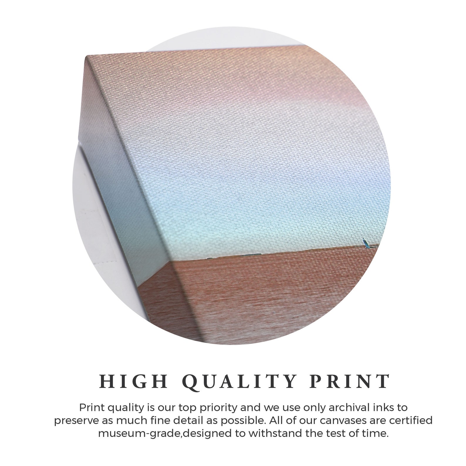 American Swift Canvas Print Antique Bird Painting Vintage - Etsy